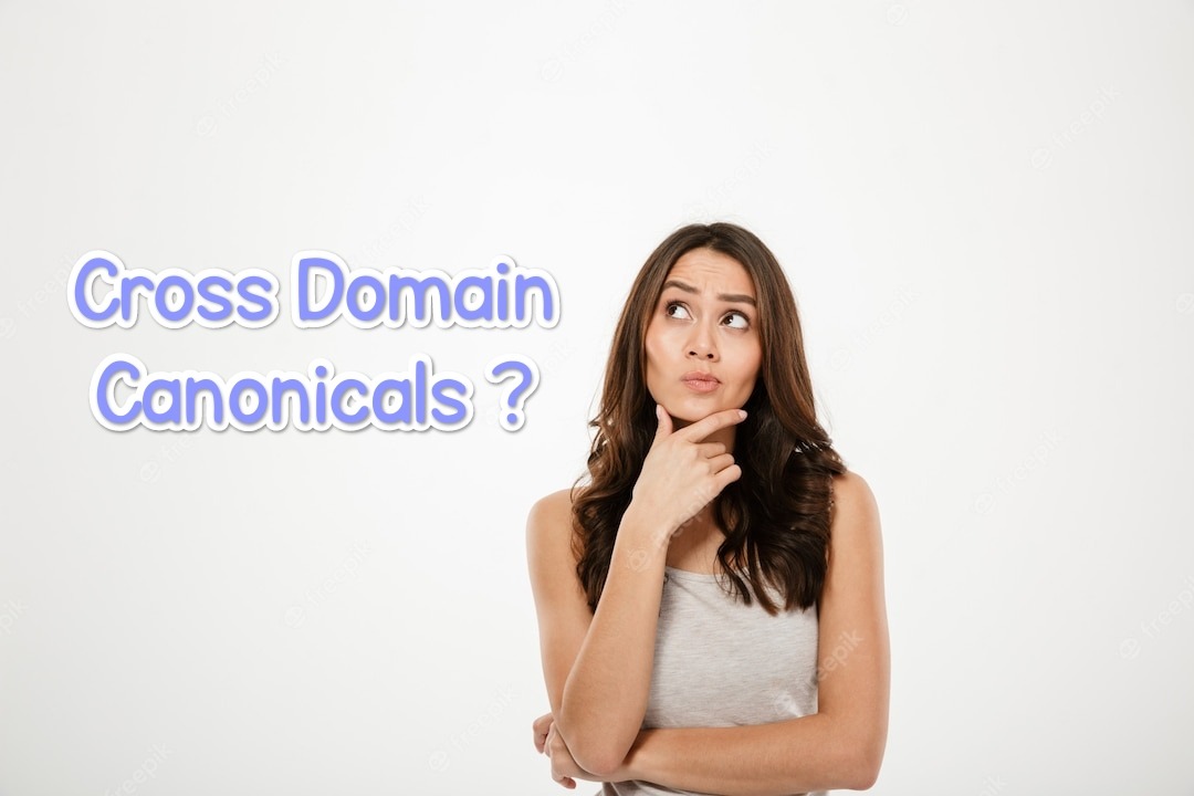 Cross-Domain Canonicals: When and How to Use Them for Better SEO - Bloggeriya.com